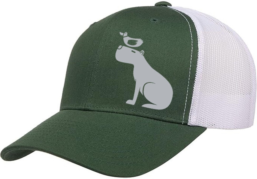 Custom Made Hand Drawn Capybara Hat - Etsy