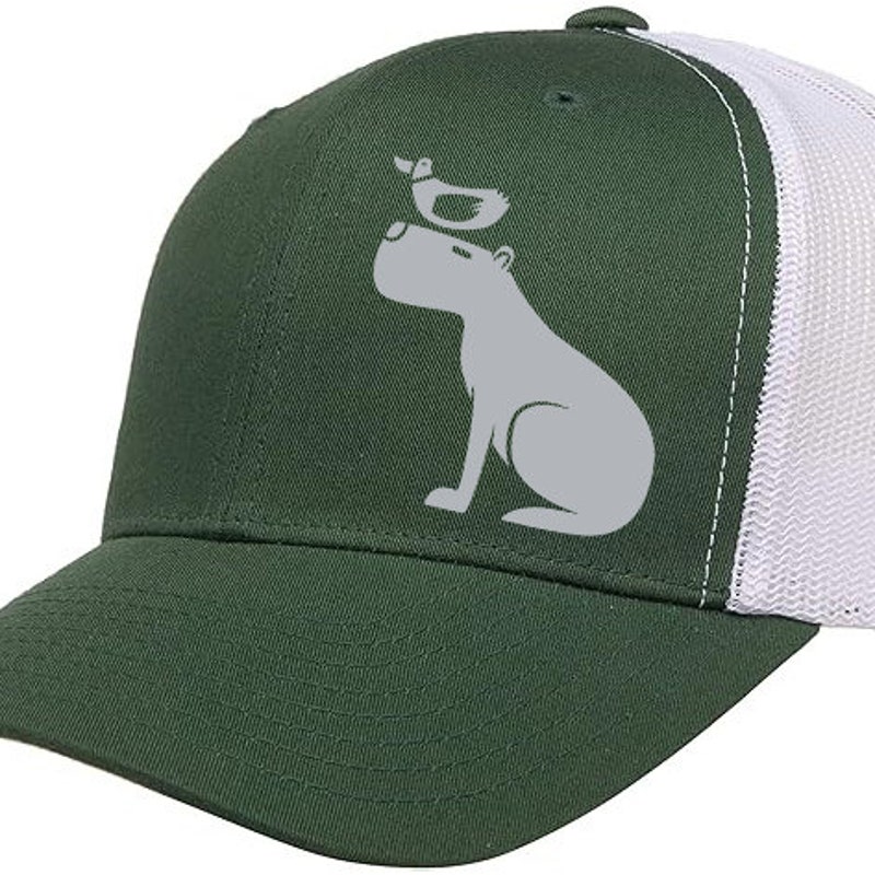 Capybara in Hats - Etsy