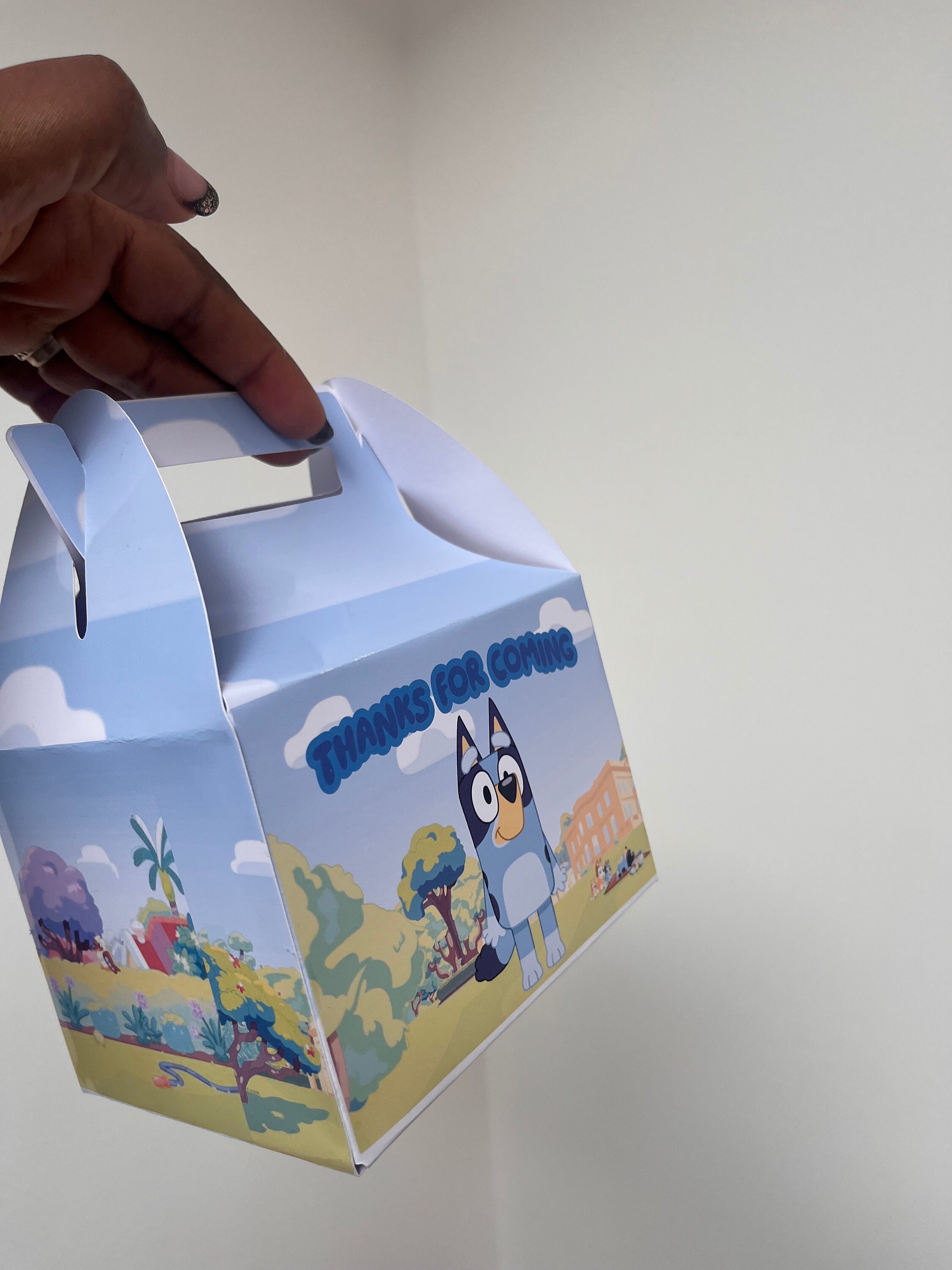 Bluey Themed Party Favor Box, Kids Party Box, Kids Party Gift Bag, Kids ...