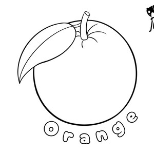 Orange Fruit Coloring Page for Kids and Adults Simple Easy Food ...