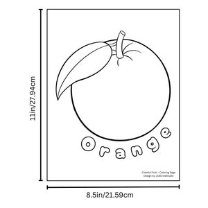 Orange Fruit Coloring Page for Kids and Adults Simple Easy Food ...