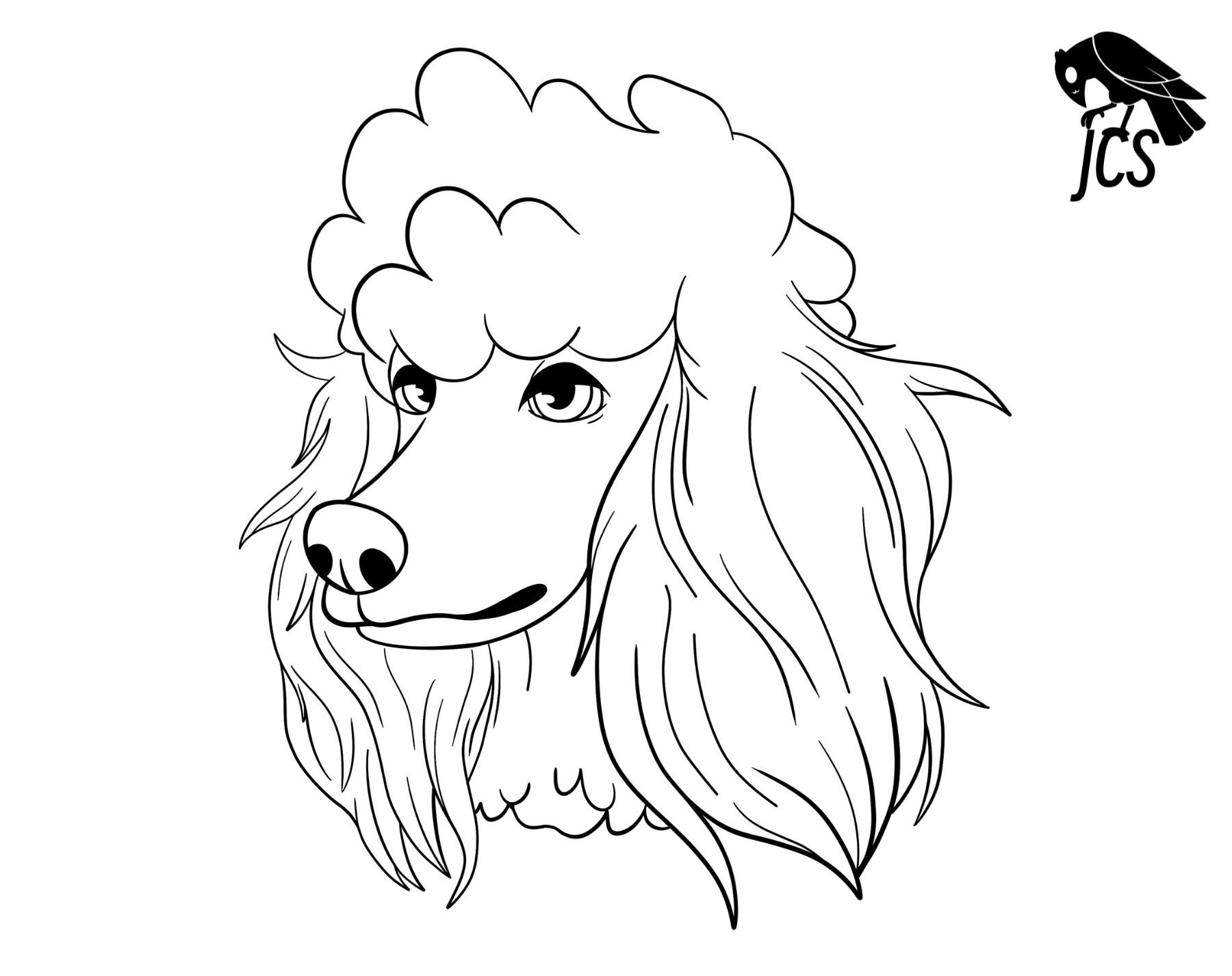 Beautiful Poodle Coloring Page Dog Drawing for Kids and Adults PDF ...