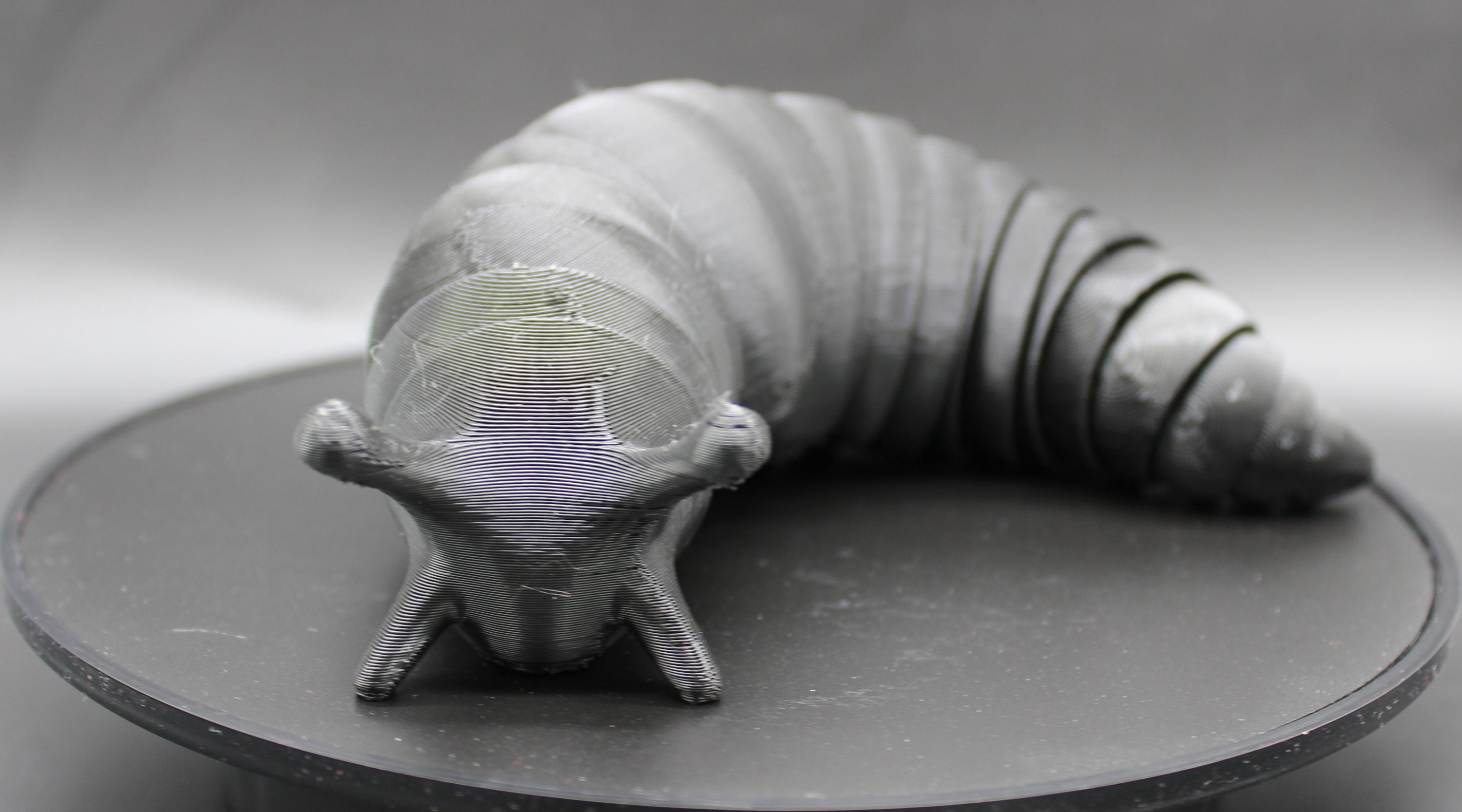 Articulated Slug 3D Printed, A Quirky Desk Companion in Four Vibrant ...