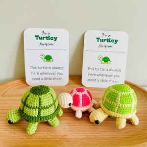 Crochet Pocket Hug Turtle: Personalized Cheer up Gift - Etsy