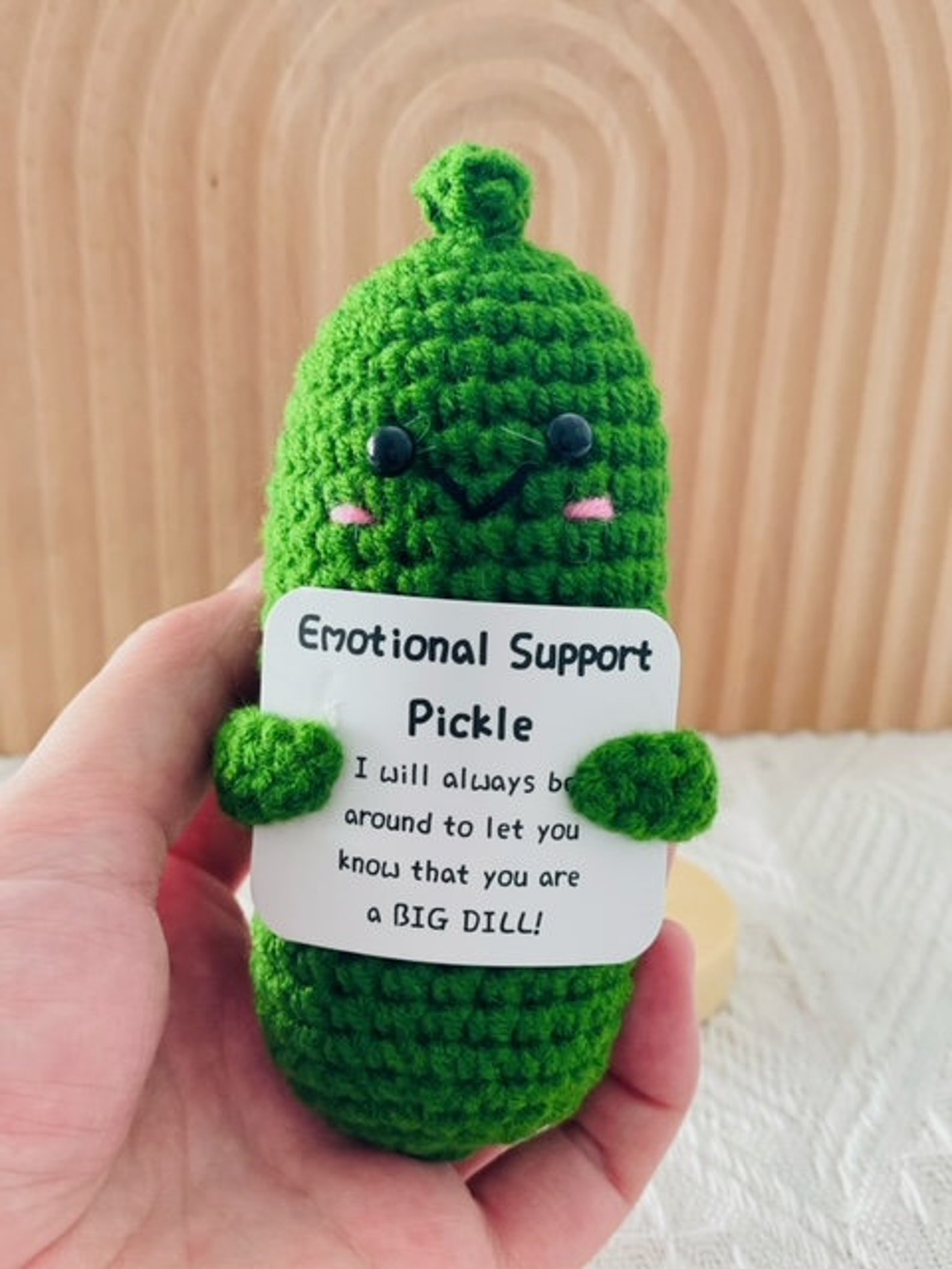 Emotional Support Pickle Cute Positive Crochet Pickle - Etsy UK