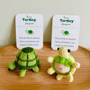 Crochet Turtle Pocket Hug: Emotional Support Charm - Etsy