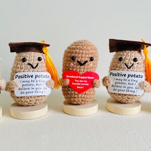 Creative Crochet Graduation Gift, Crochet Duck Chicken Bee Avocado ...