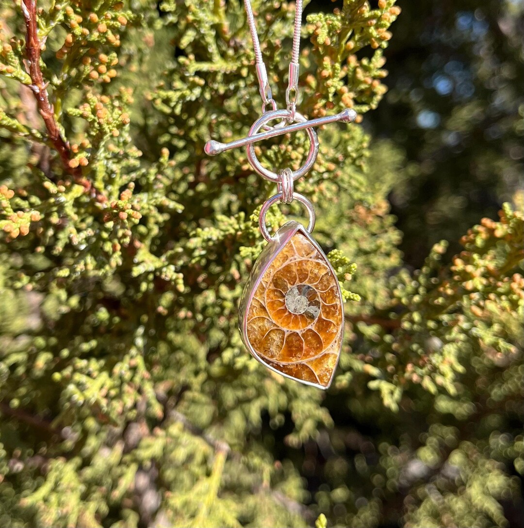 Ammonite Fossil Pendant Necklace Handcrafted Sterling Silver Swirl ...