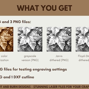 PNG Files Made for Laser Engrave | Leaf, Leaves, Maple, Autumn, Fall ...