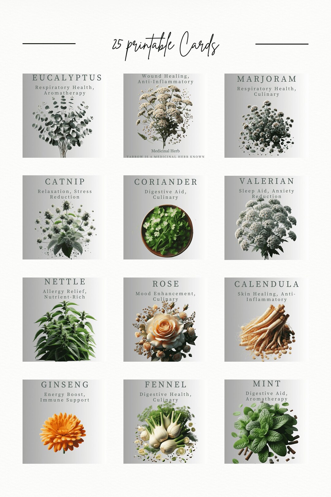 25 Printable Herbs and Medicinal Plant Guide Cards With Names, Uses ...