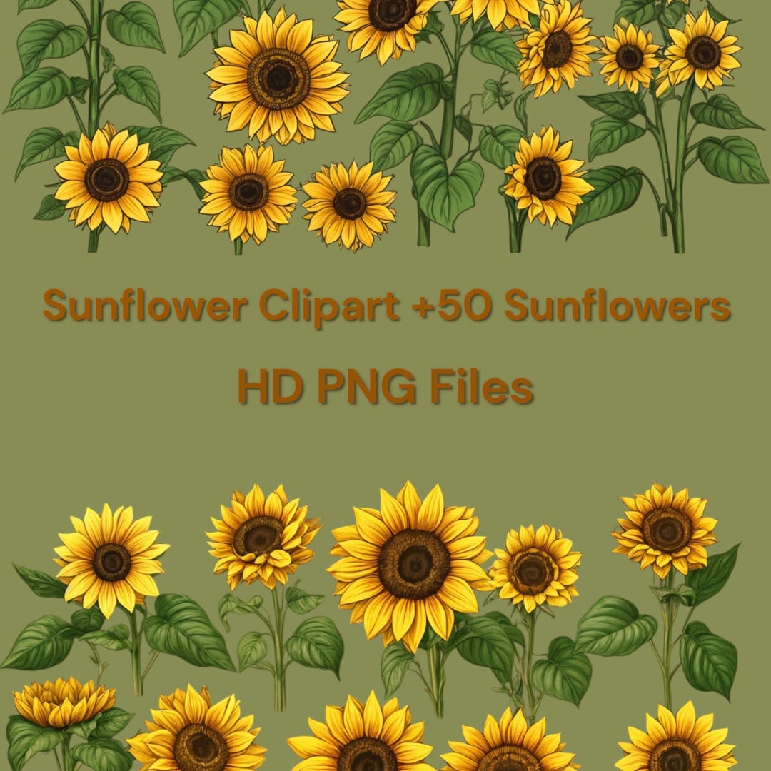 SUNFLOWER | Set of 40+ | Clipart Bundle | 300 DPI Transparent HD Pngs ...