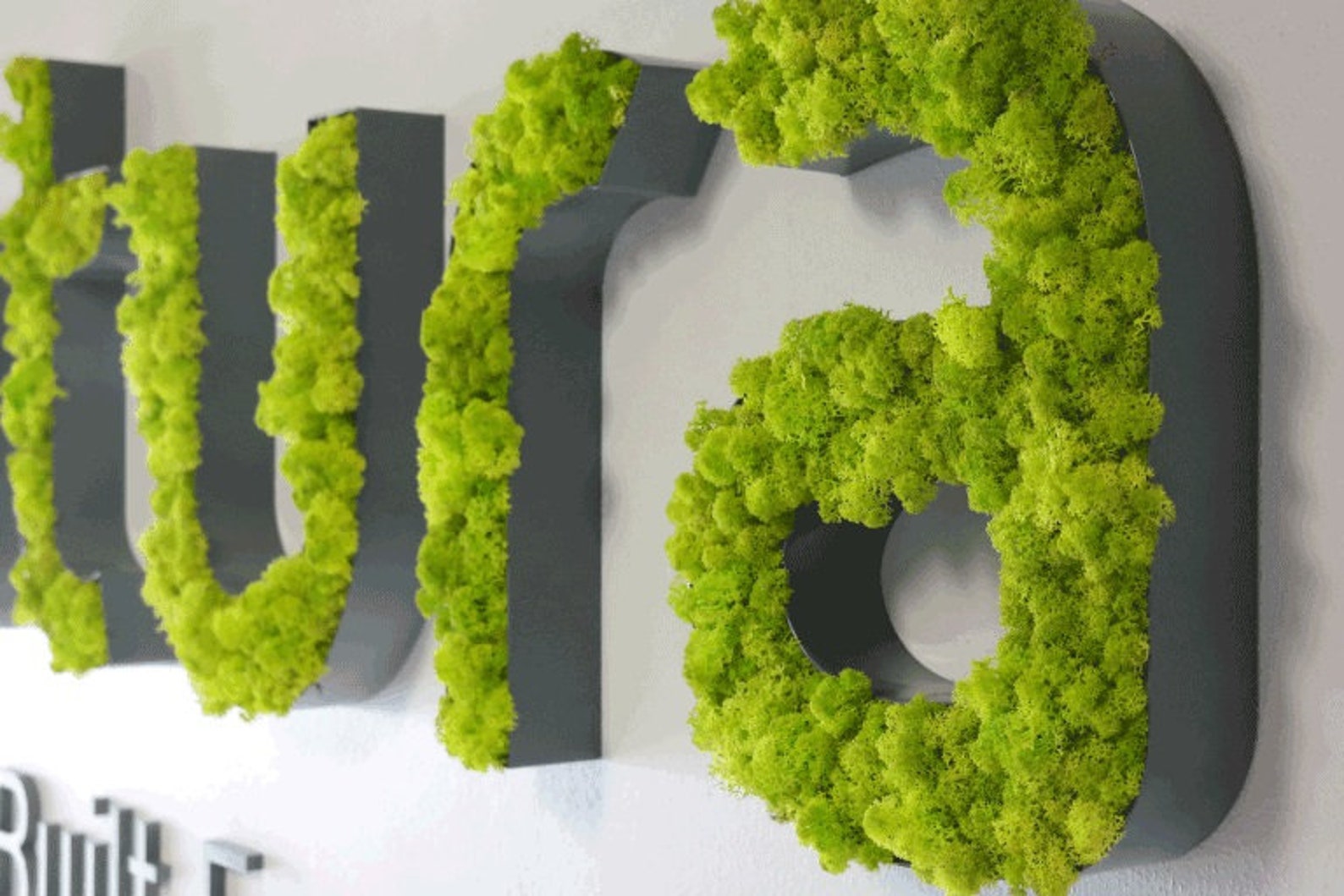 Moss Sign, Moss Covered Letters, Moss Art Letters, Logo Moss Wall ...