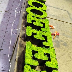 Moss Lettering, Moss Wall Art, Moss Wall, Moss Office, Moss Signs, Moss ...