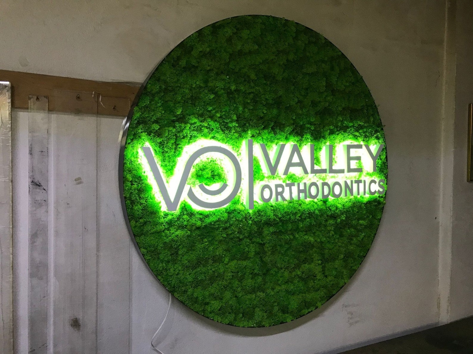 Real Moss, Live Moss Art, Real Moss Decor, Moss Art, Moss Decor, Office ...