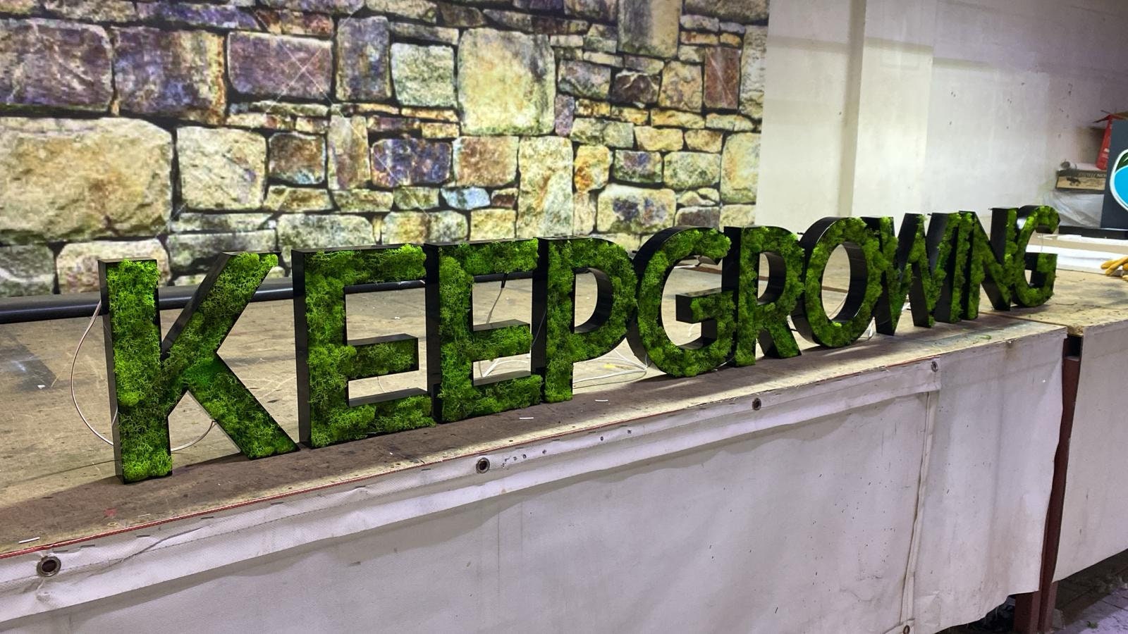 Real Moss, Live Moss Art, Real Moss Decor, Moss Art, Moss Decor, Office ...