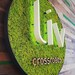 Moss Lettering, Moss Wall Art, Moss Wall, Moss Office, Moss Signs, Moss ...