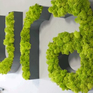 Moss Lettering, Moss Wall Art, Moss Wall, Moss Office, Moss Signs, Moss ...