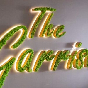 Real Moss, Live Moss Art, Real Moss Decor, Moss Art, Moss Decor, Office ...