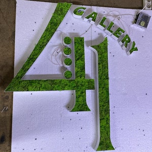 Real Moss, Live Moss Art, Real Moss Decor, Moss Art, Moss Decor, Office ...