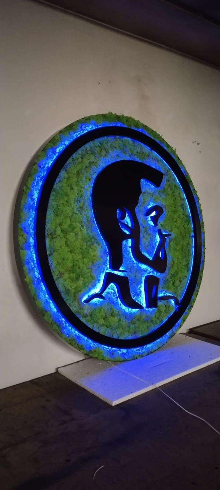 Moss Signs, Preserved Moss Art, Framed Moss Office Moss Art, Moss Walls ...