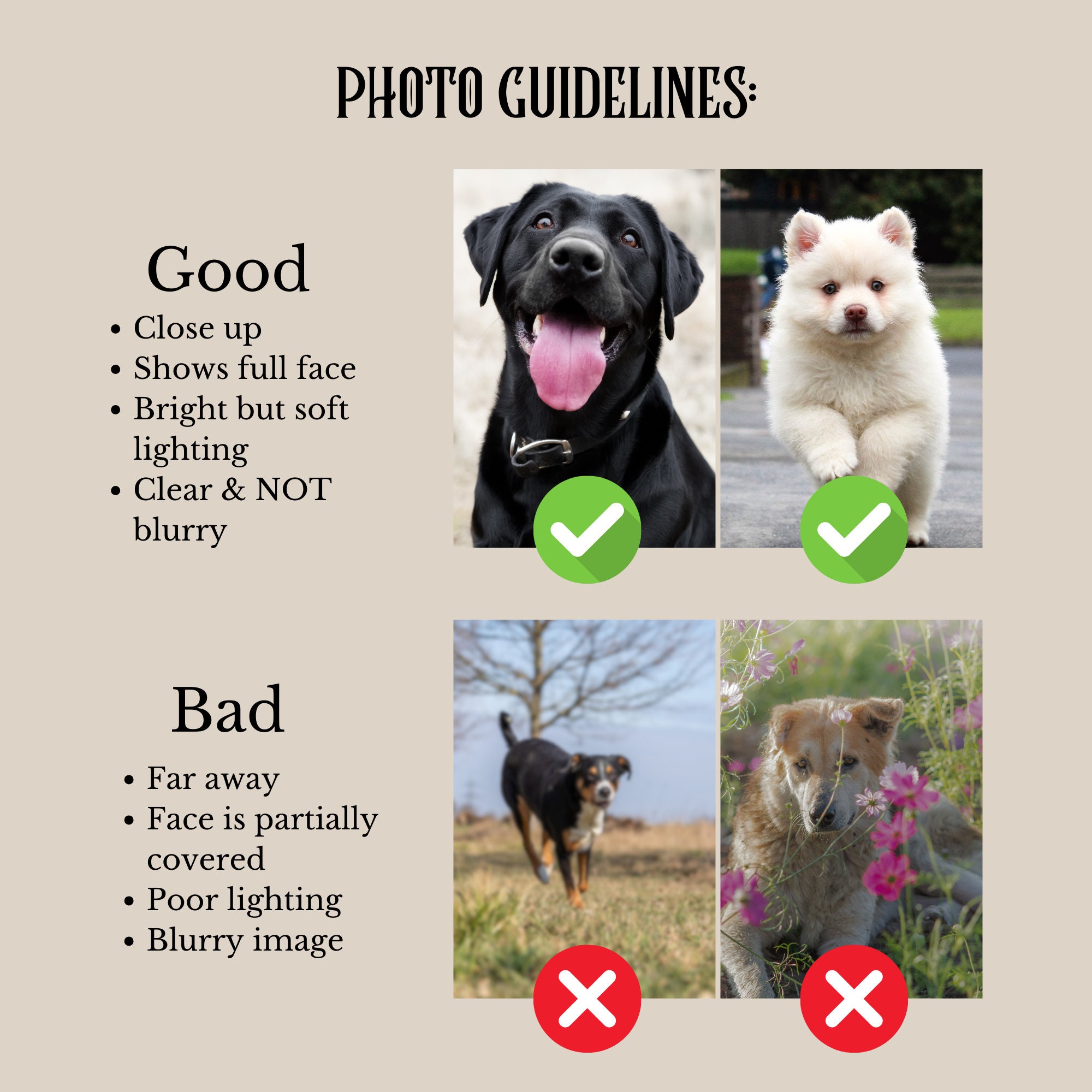 Custom Pet Memorial Gift, Pet Memorial Mug Custom, Personalized Pet ...