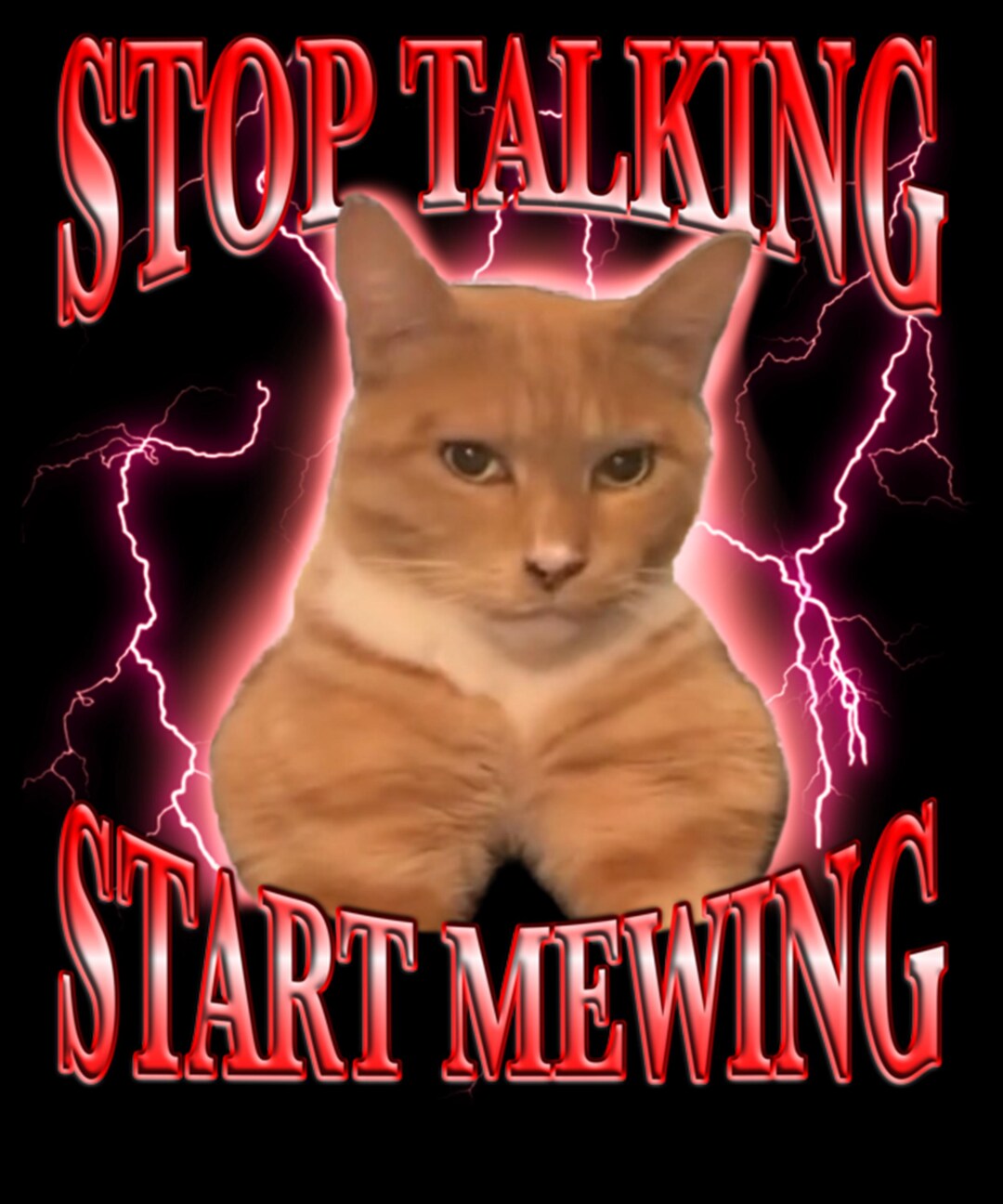 Stop Talking, Start Mewing Funny Looks Maxing Meme Cat Trendy PNG - Etsy