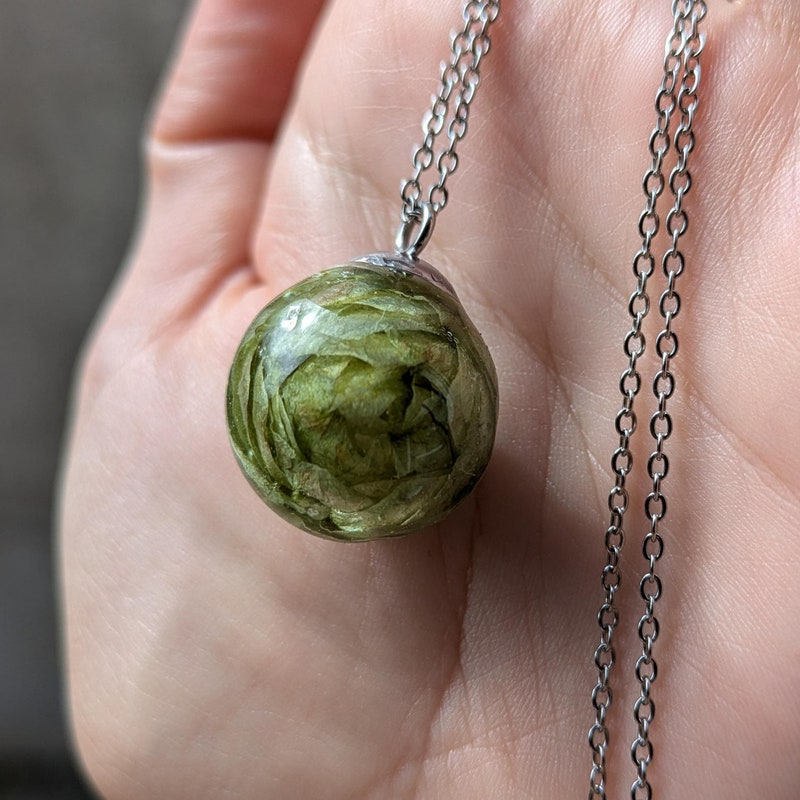 Hops - Etsy