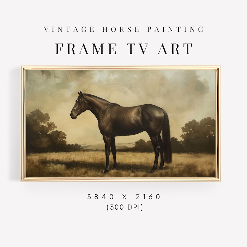 Samsung Art Tv Horses - Etsy