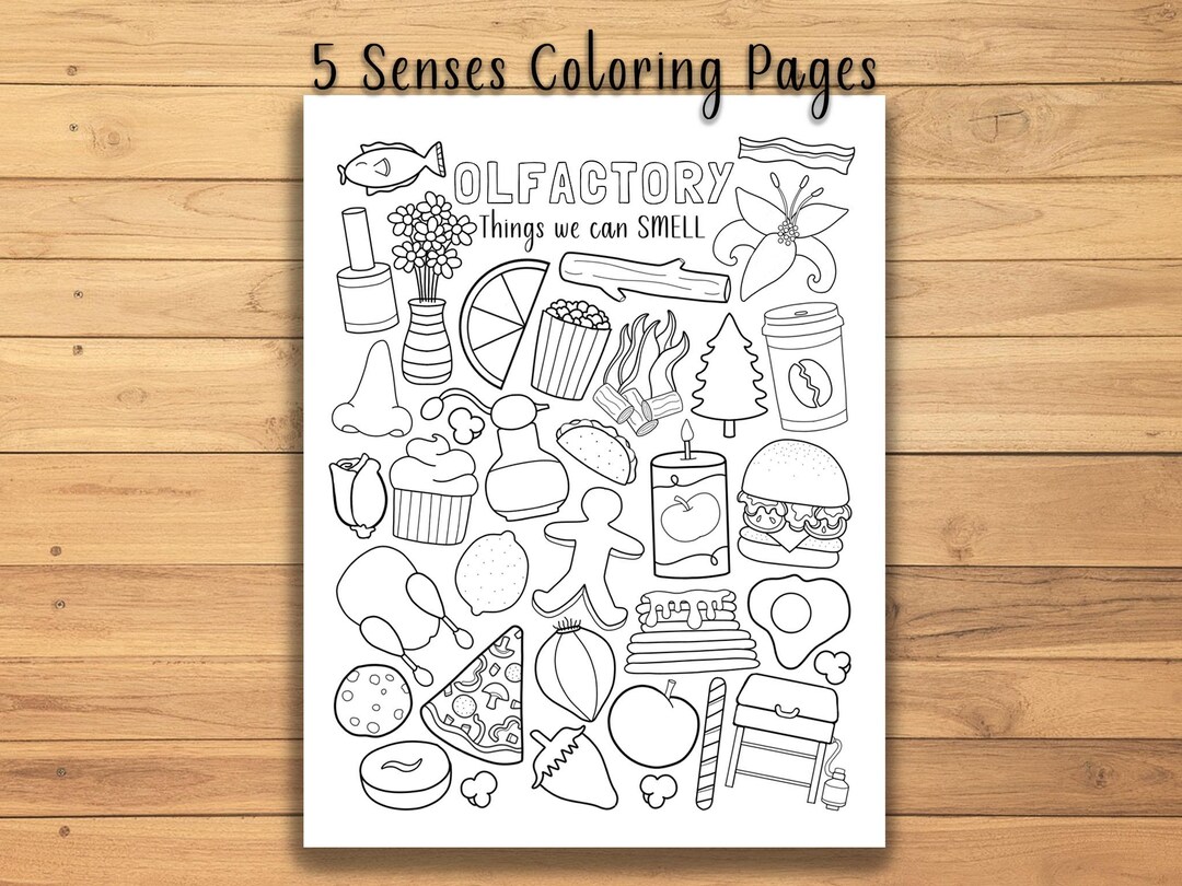 5 Senses Coloring Pages Filled With Drawings for Sight, Smell, Touch ...