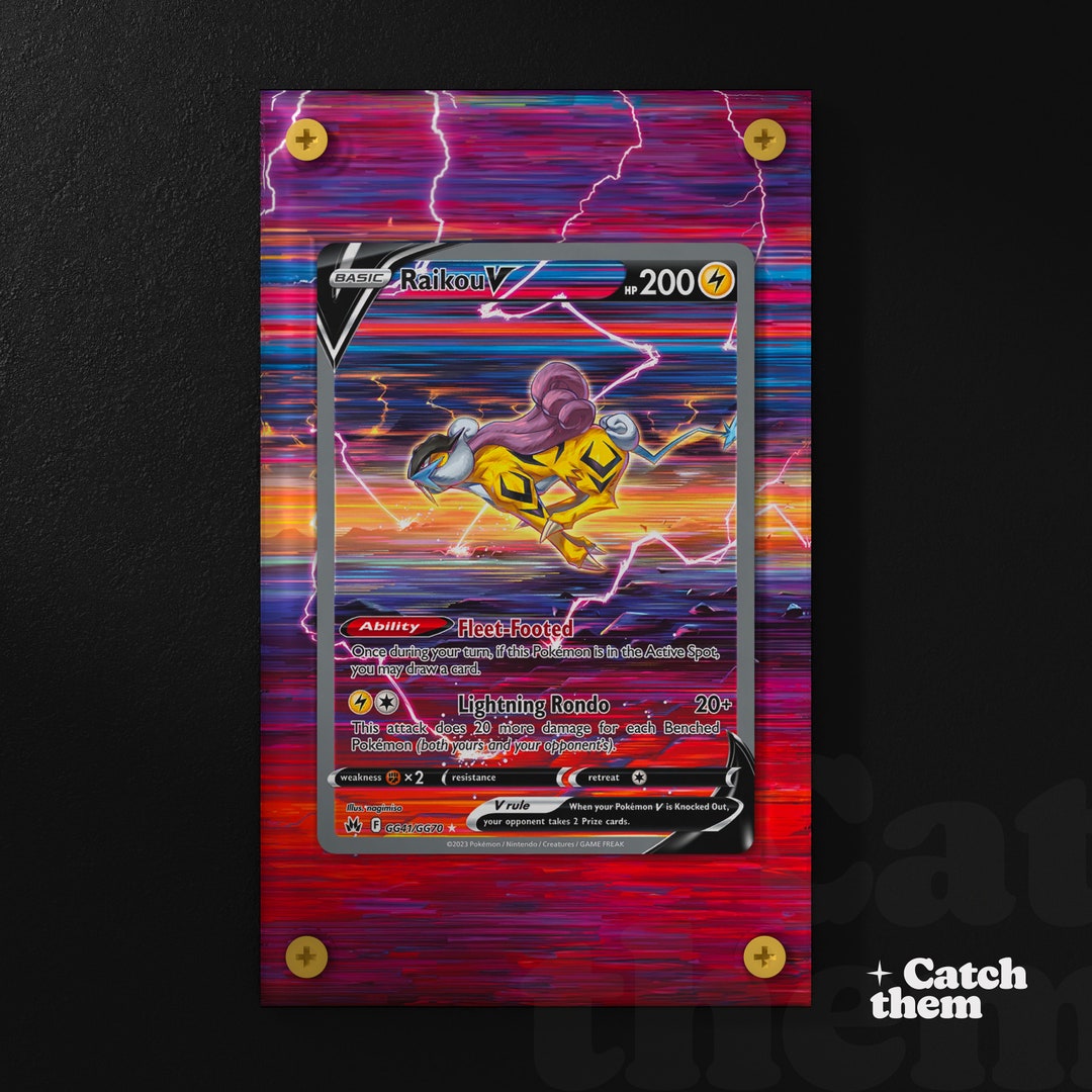 Raikou V Custom Pokemon Display Case - Etsy