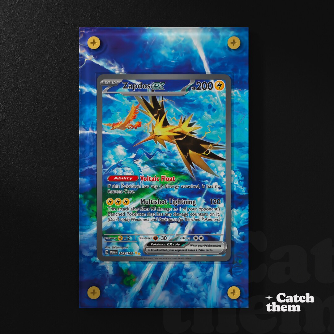 Zapdos Ex 202/165 Custom Pokemon Display Case - Etsy