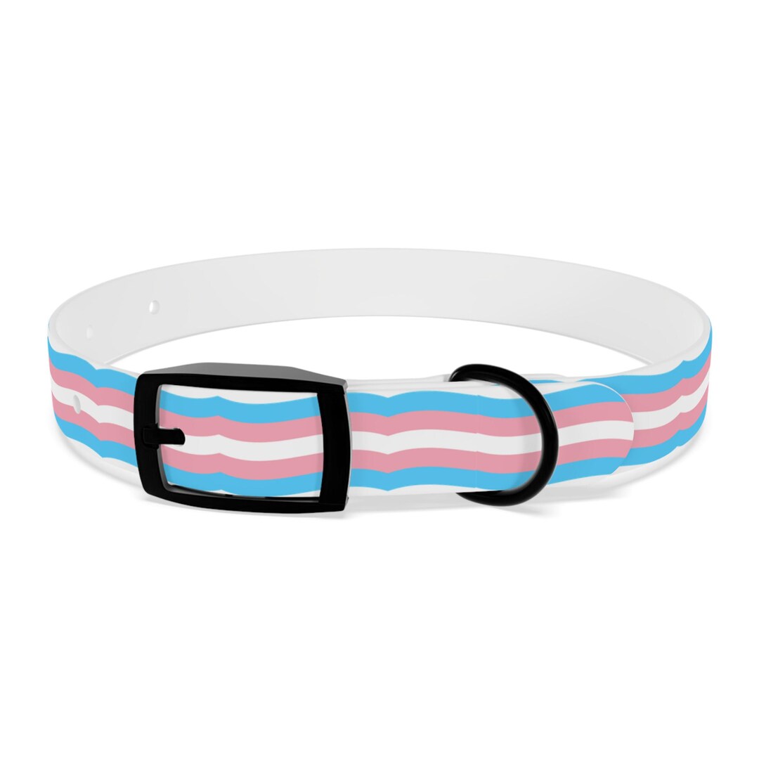 LGBTQIA Pride Transgender Flag Dog Collar Blue Pink White Wavy Stripes ...