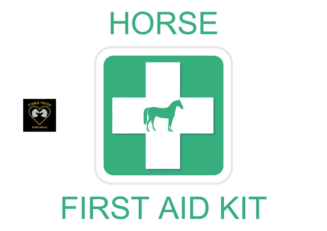 First Aid Kit Signs - A4 Landscape - Etsy