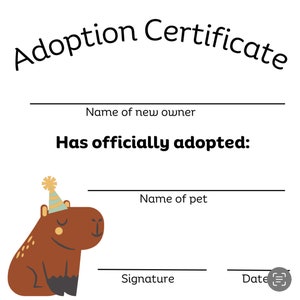 Capybara Plushie Capybara Crochet Amigurumi Finished Product - Etsy Canada