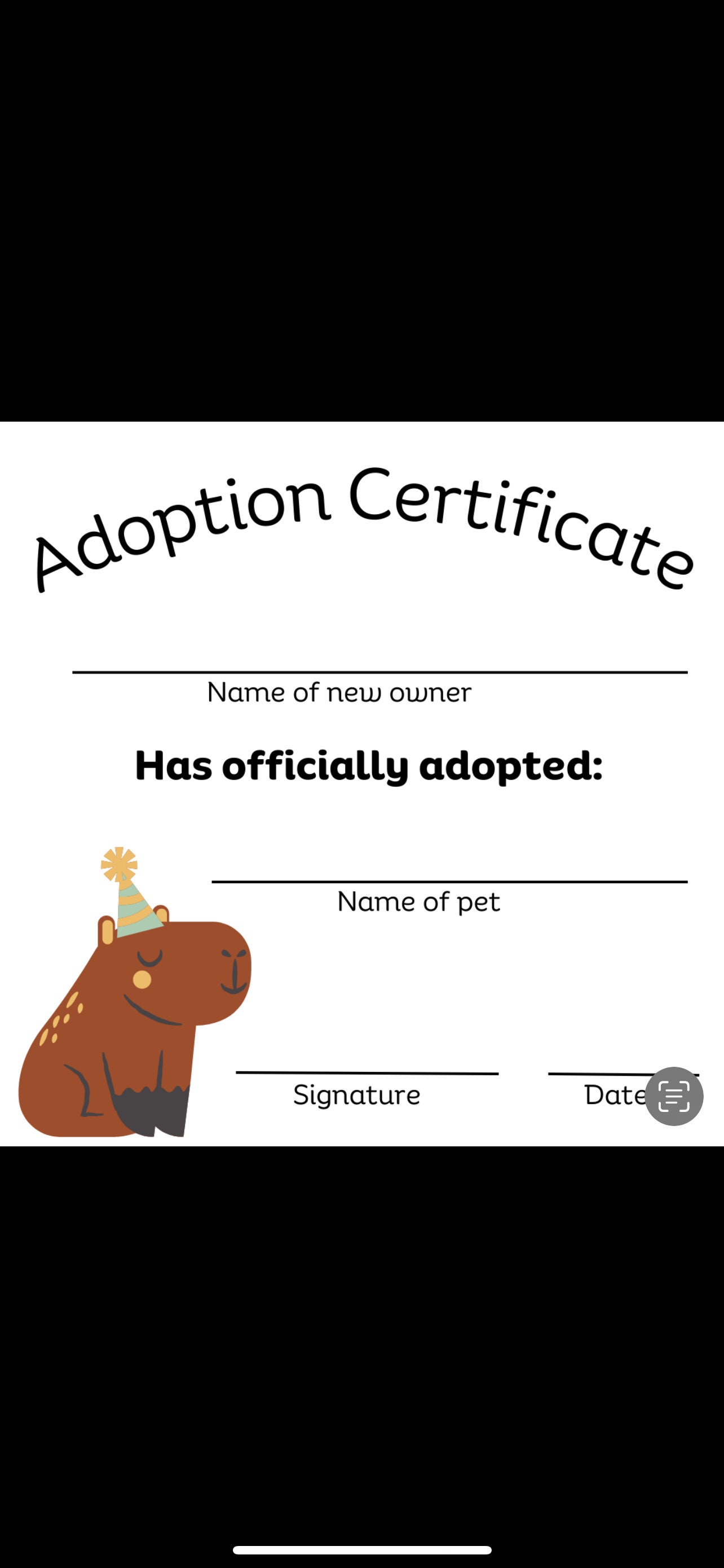 Capybara Plushie Capybara Crochet Amigurumi Finished Product - Etsy Canada