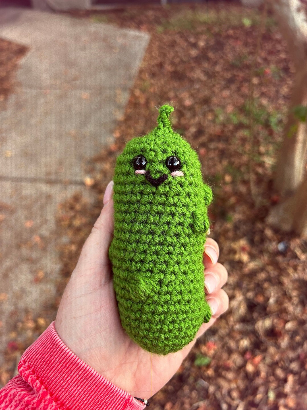 Crochet Pickle Pal | Emotional Support Pickle - Etsy