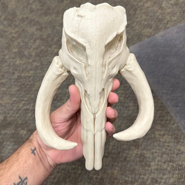 Mythosaur Skull Wall Decor - Etsy