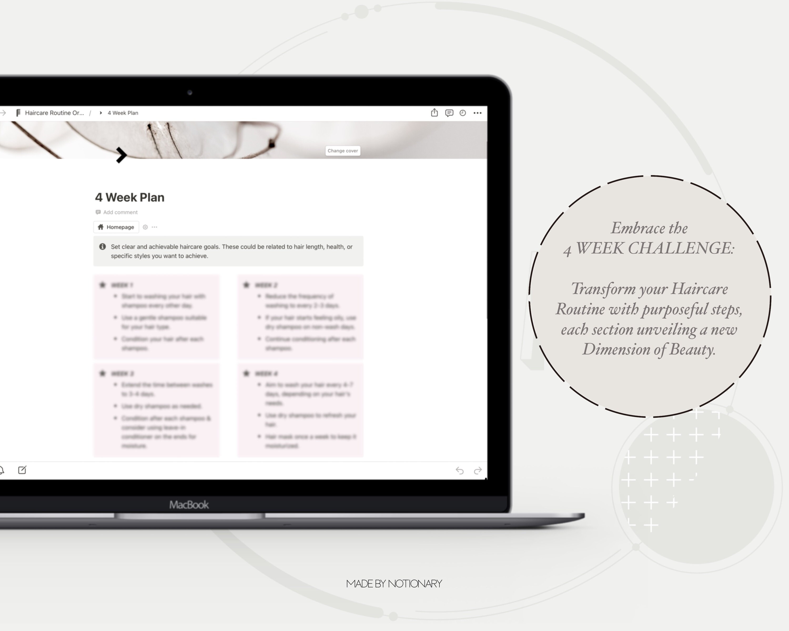 Haircare Routine Notion Template, Essential for Hair Health Maintenance ...