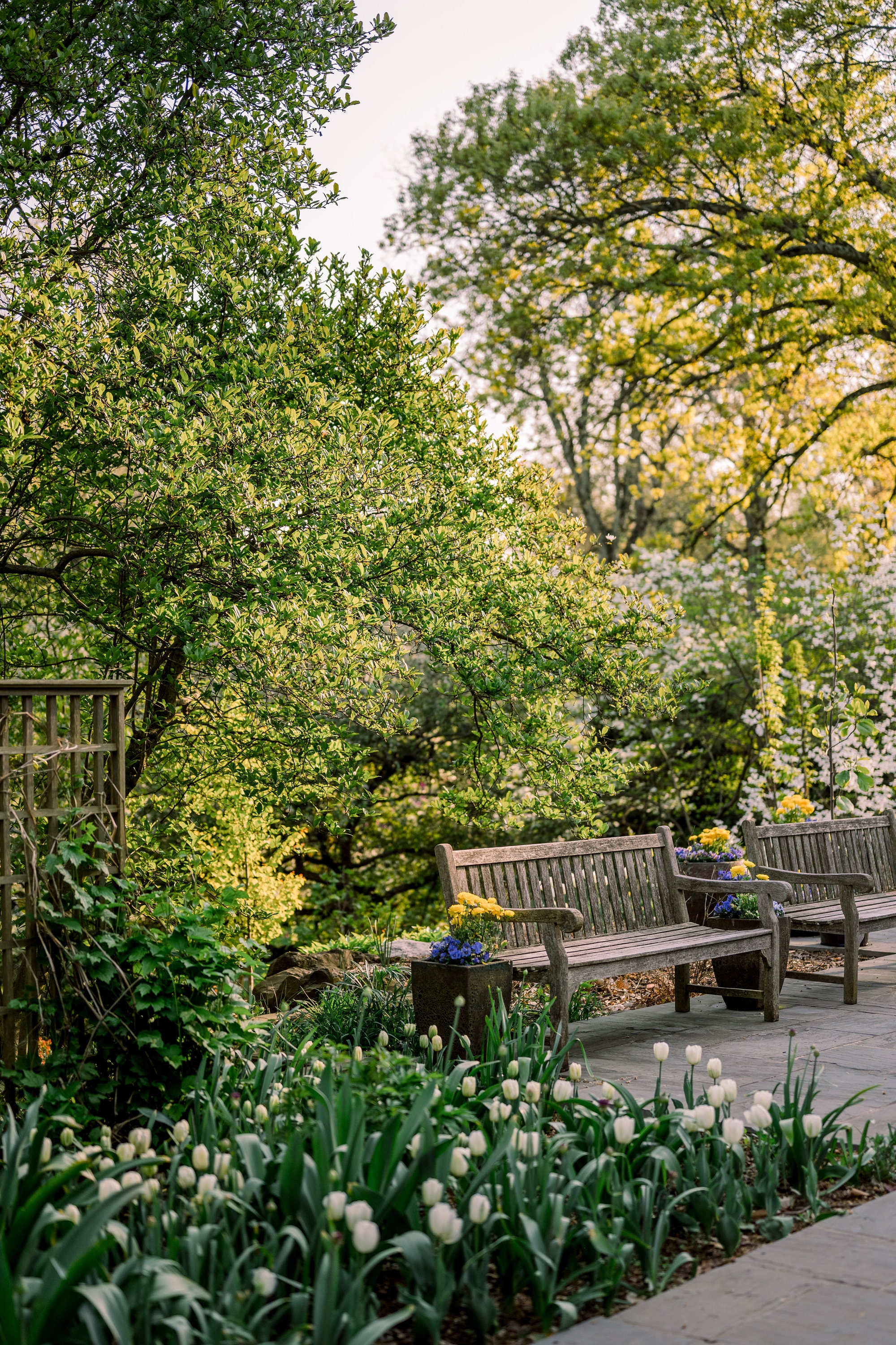 Landscape During Golden Hour, Green Landscape, Digital Photography ...