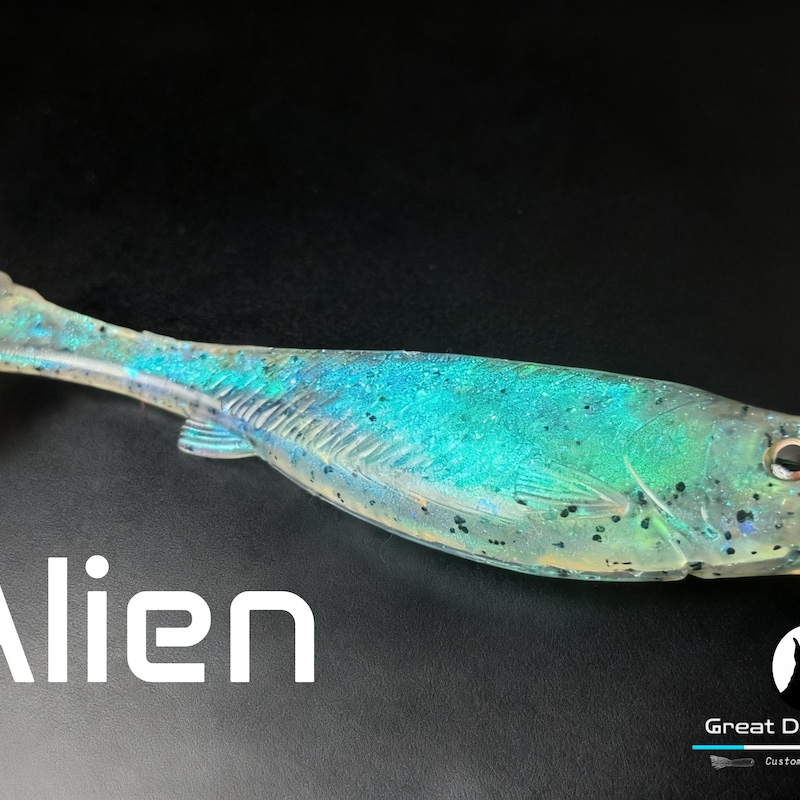 Custom Painted Swimbait - Etsy