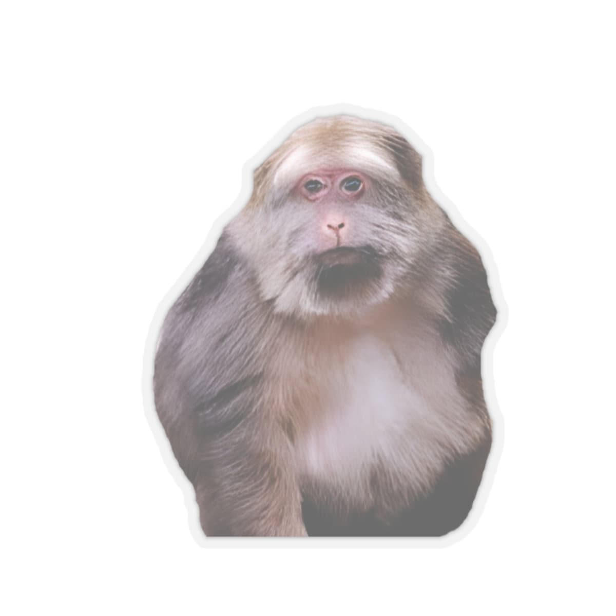 Xing Xing Monkey Sticker, Meme, Funny, Monkey, Chinese, Tiktok ...