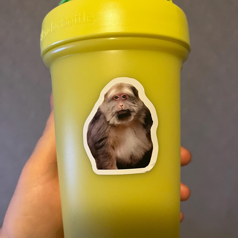 Chango de sticker - Etsy México