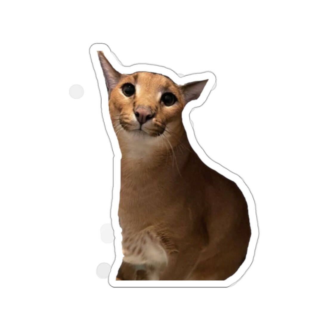 Innocent Floppa Sticker Cute Fluffy Meme Floppa Sticker - Etsy