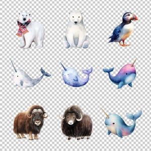 74 Arctic Animals PNG Transparent Background | Watercolor Winter, Polar ...