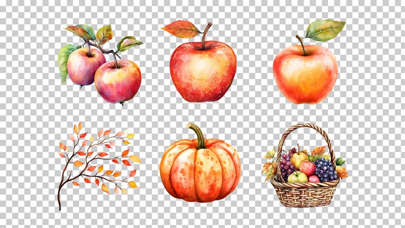 64 Autumn Harvest Watercolor Clipart | Fall PNG Bundle - Etsy