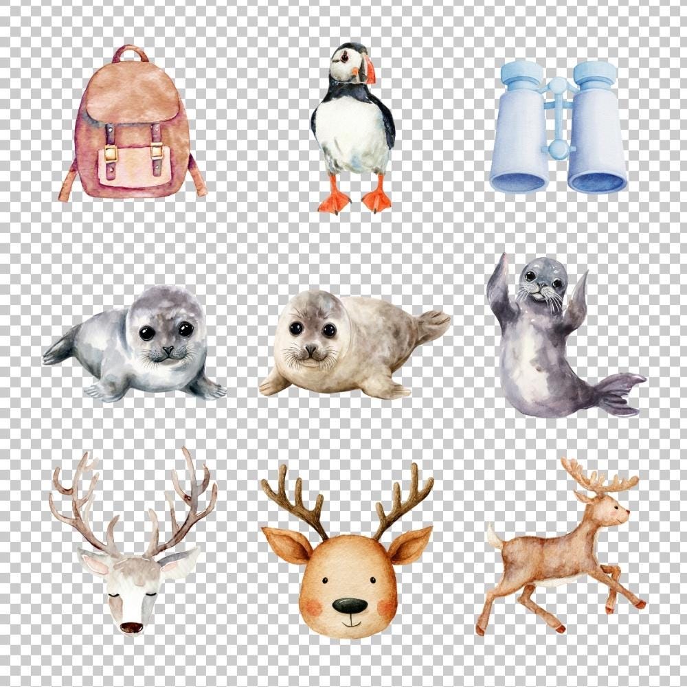 74 Arctic Animals PNG Transparent Background | Watercolor Winter, Polar ...
