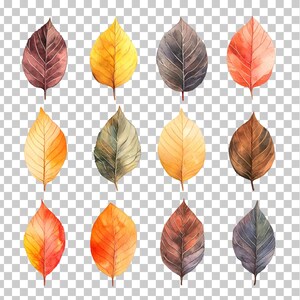 64 Autumn Harvest Watercolor Clipart | Fall PNG Bundle - Etsy