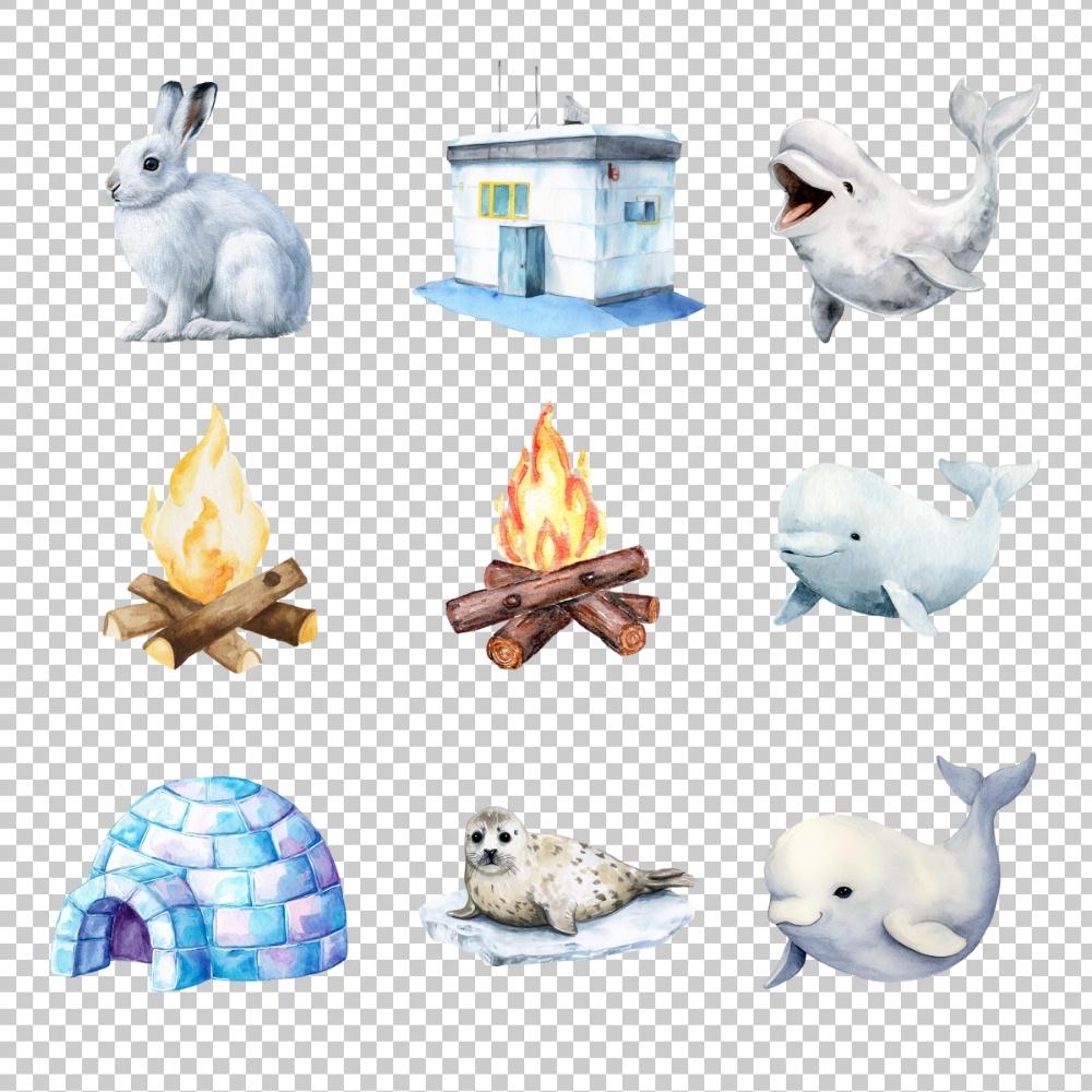 74 Arctic Animals PNG Transparent Background | Watercolor Winter, Polar ...