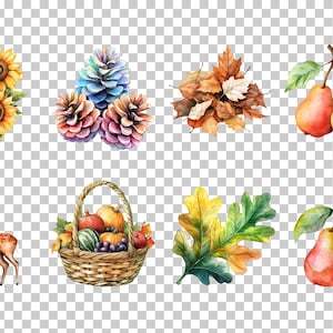 64 Autumn Harvest Watercolor Clipart | Fall PNG Bundle - Etsy