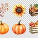 64 Autumn Harvest Watercolor Clipart | Fall PNG Bundle - Etsy
